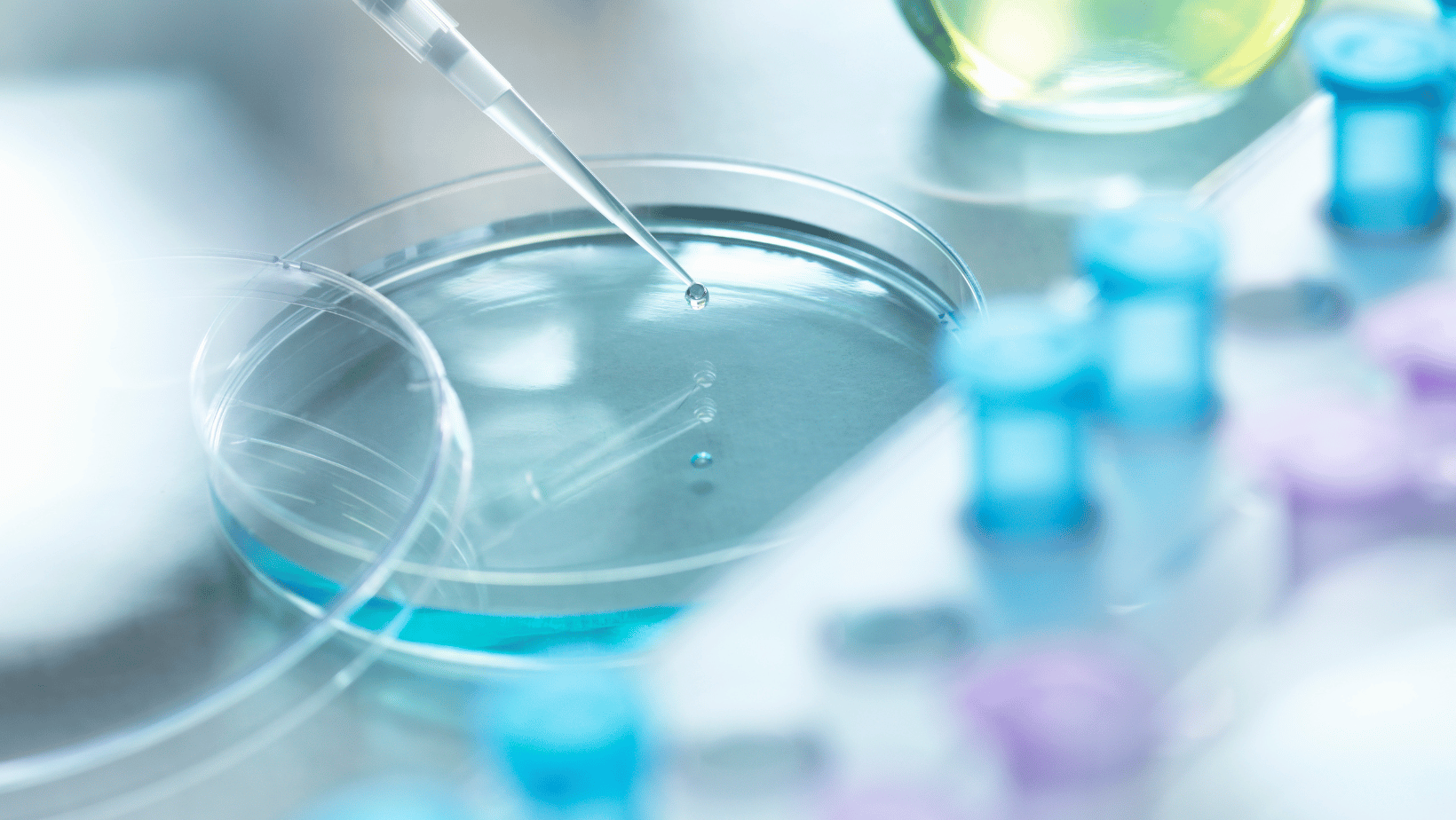 Our Vertical Markets